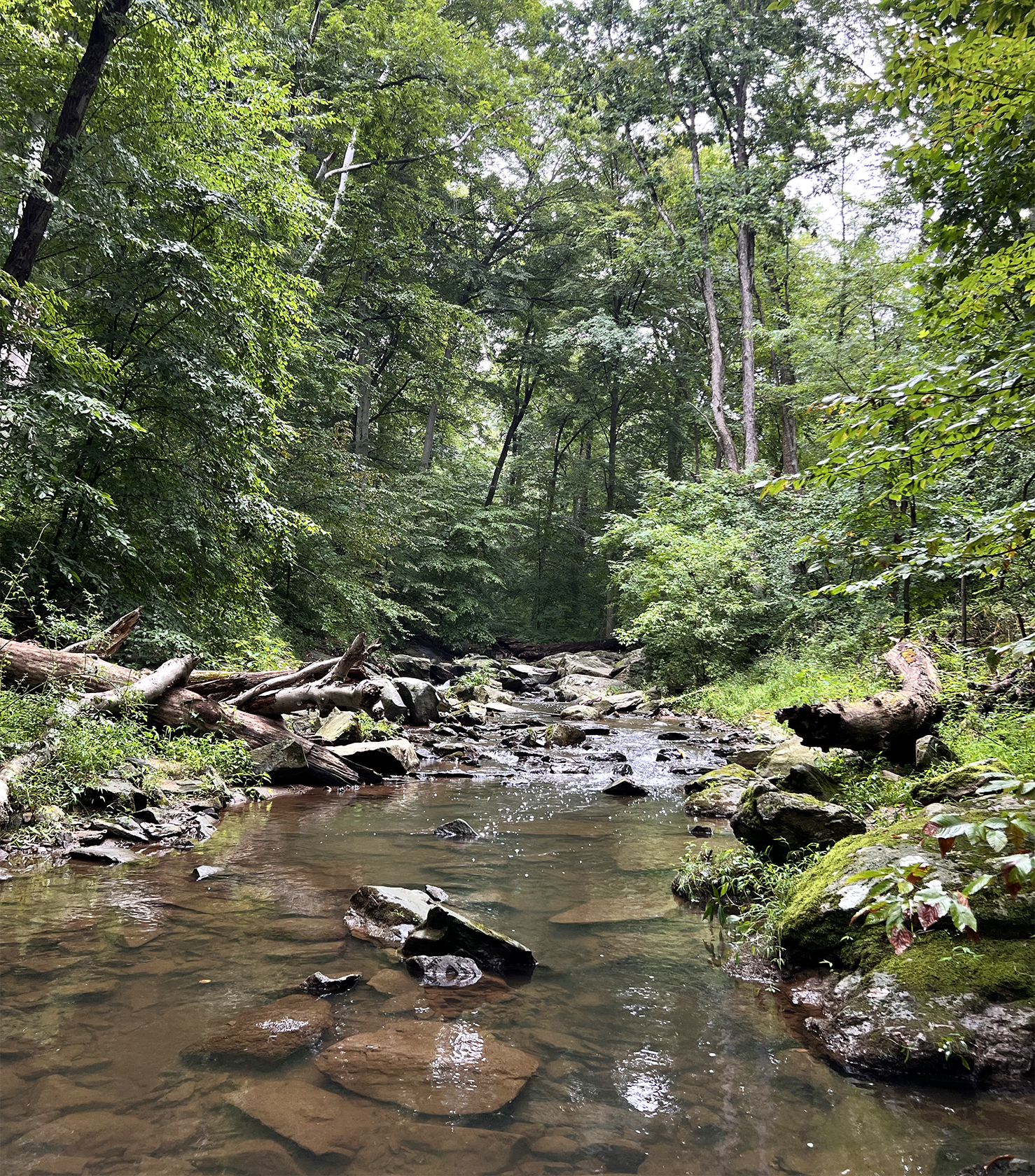 Connect Edgmont Hike: Rocky Run Trail – Connect Edgmont